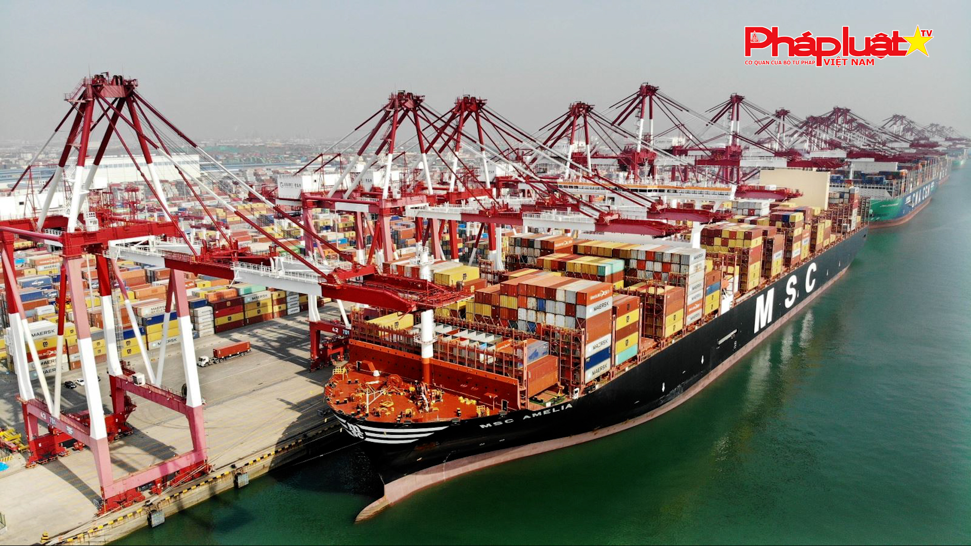 Pháp Luật TV - Thời sự